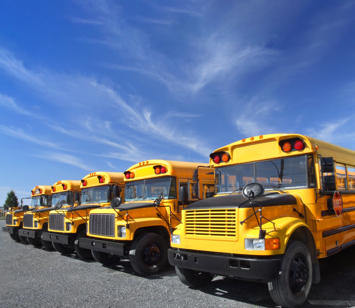 Student Transportation Services | My Big Yellow Bus